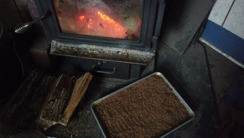 The Underutilized American Acorn - Countryside